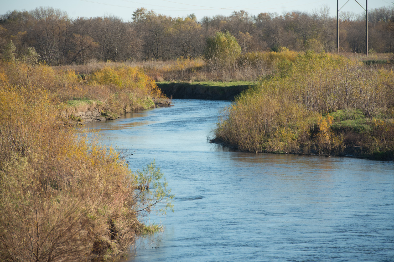 Streamside Buffers | IAWA